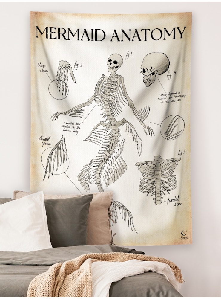 Panô Mermaid Anatomy